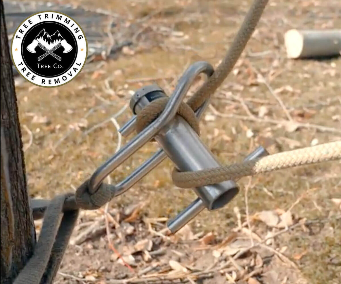 Everything You Need to Know about Tree Trimming Using Port a Wrap – Tree Co